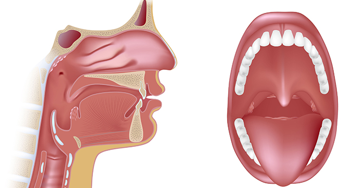 News - ENT Surgery And Snoring
