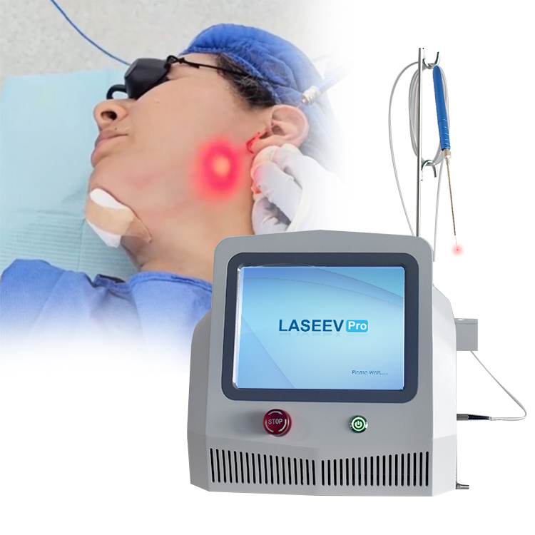 China Medical Aesthetic Devices Diodo Endolaser 980nm 1470nm LASEEV PRO ...