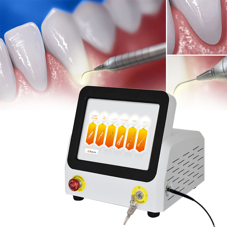 China 980mini Soft Tissue Laser Dental Diode Laser- 980Mini Dentistry ...